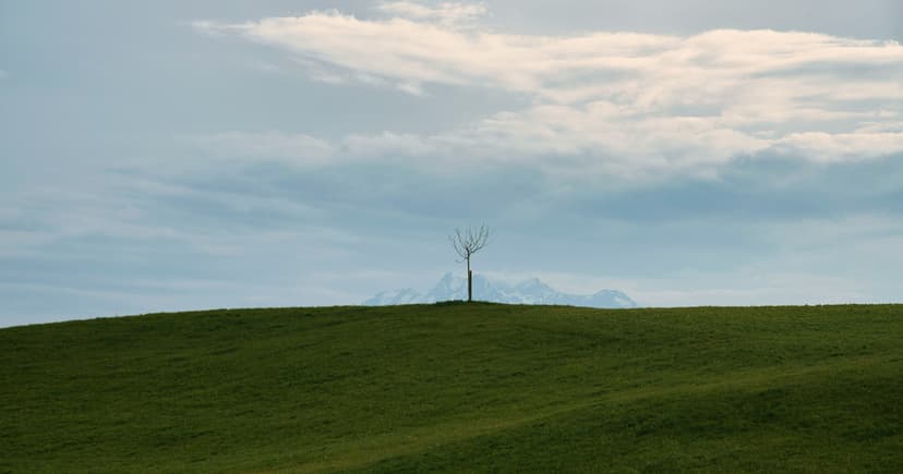 Inlyte Energy's Iron-Sodium Battery Passes Full-Scale Test in UK ...